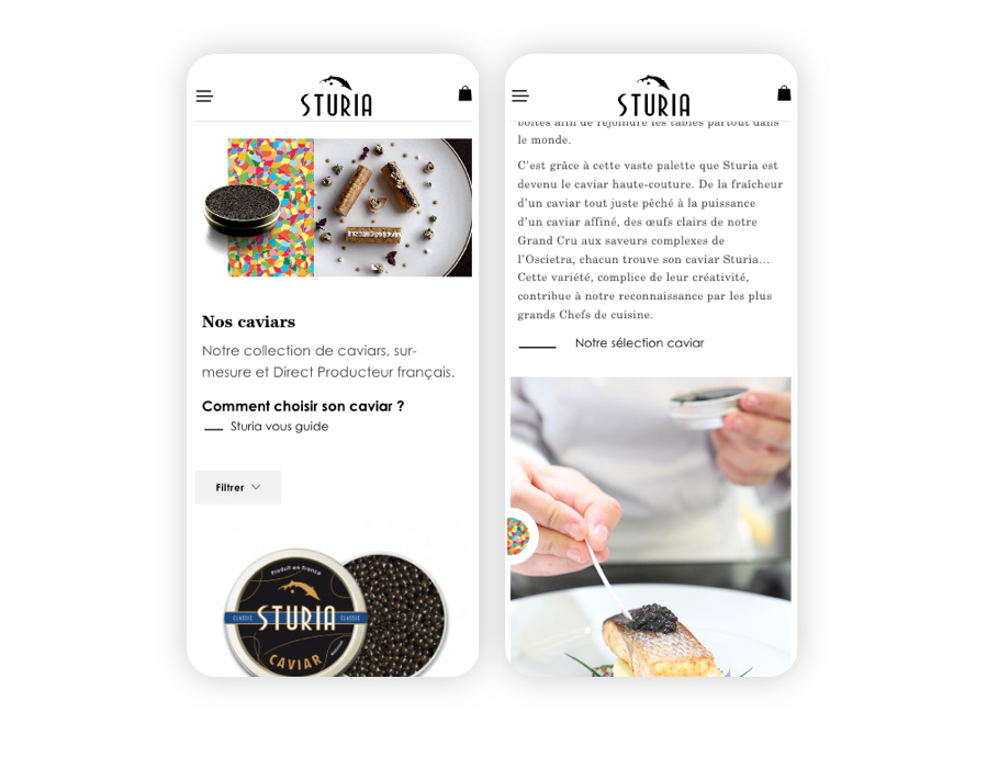 Caviar Sturia - Kaizen Agency