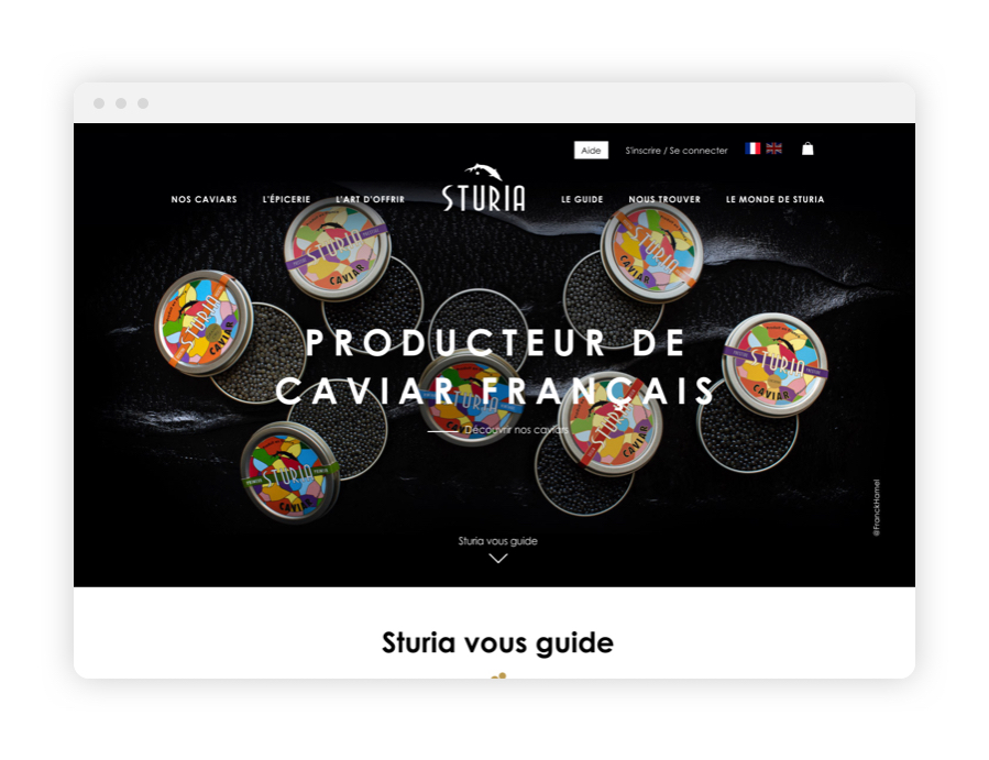 Caviar Sturia - Kaizen Agency